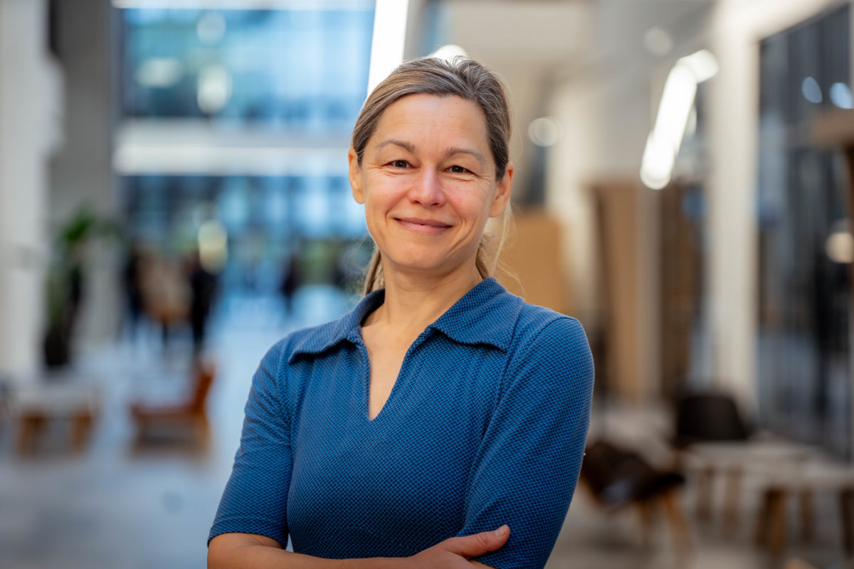 About - Frankfurt School